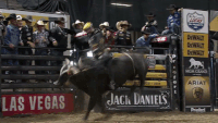 Pbr GIFs - Get the best gif on GIFER