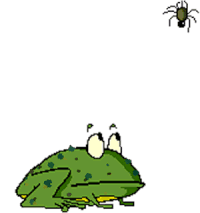 Жаба GIFs - Get the best gif on GIFER