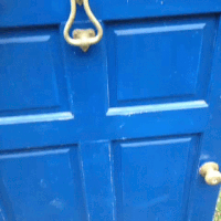 Knock GIFs - Get the best gif on GIFER