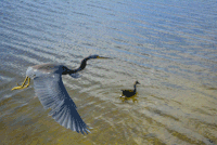 Nikon GIFs - Get the best gif on GIFER