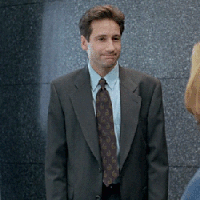 David GIFs - Get the best gif on GIFER