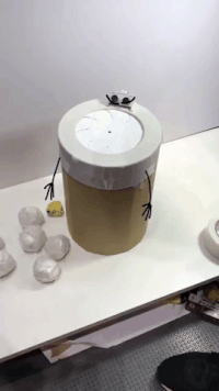 Junk GIFs - Get the best gif on GIFER