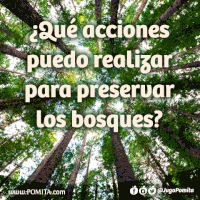 Ecologia GIF - Conseguir o melhor gif em GIFER