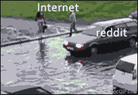 Reddit GIFs - Get the best gif on GIFER