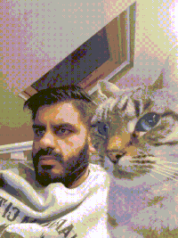 Tweet GIFs - Get the best gif on GIFER