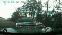 Chased GIFs - Get the best gif on GIFER