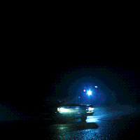 Impala GIFs - Get the best gif on GIFER