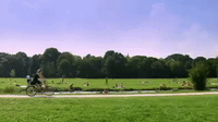 Alps GIFs - Get the best gif on GIFER