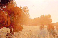 Western GIFs - Get the best gif on GIFER