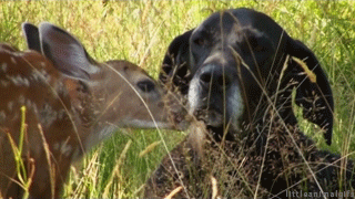 Braum GIFs - Get the best gif on GIFER