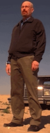 Pssst GIFs - Get the best gif on GIFER