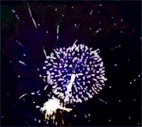 Bumper GIFs - Get the best gif on GIFER