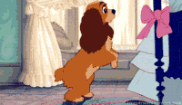 Tramp GIFs - Get the best gif on GIFER
