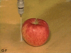 Water jet GIF - Conseguir o melhor gif em GIFER