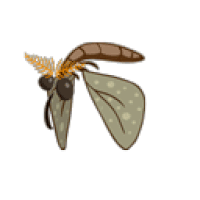 Mites GIFs - Get the best gif on GIFER