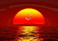 Spirituality GIFs - Get the best gif on GIFER