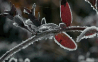 Moisture GIFs - Get the best gif on GIFER