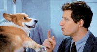 Scolding GIFs - Get the best gif on GIFER