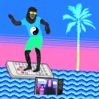 Sylvio GIFs - Get the best gif on GIFER