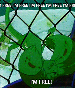 The rescuers down under GIF - Conseguir o melhor gif em GIFER