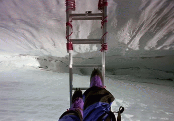Monte GIFs - Get the best gif on GIFER