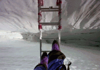 Montes GIFs - Get the best gif on GIFER