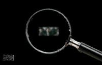 Magnifying GIFs - Get the best gif on GIFER