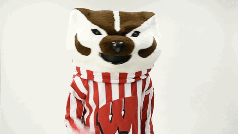 Bucky badger GIFs - Get the best gif on GIFER