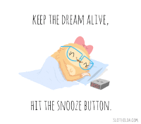 Snoozing GIFs - Get the best gif on GIFER