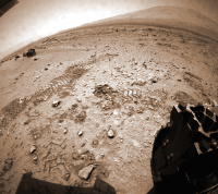 Curiosity GIFs - Get the best gif on GIFER