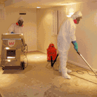 Bacteria GIFs - Get the best gif on GIFER
