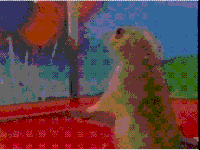 Mamba GIFs - Get the best gif on GIFER