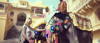 Asia GIFs - Get the best gif on GIFER
