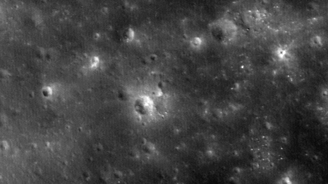 Ladee GIF - Conseguir o melhor gif em GIFER