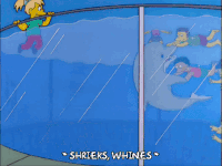 Seaworld GIFs - Get the best gif on GIFER