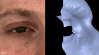 Wrinkles GIFs - Get the best gif on GIFER
