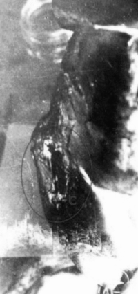 Jfk GIFs - Get the best gif on GIFER