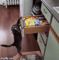 Counter GIFs - Get the best gif on GIFER