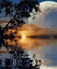 Natur GIFs - Get the best gif on GIFER