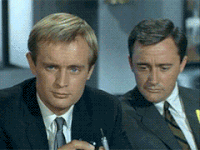 Comparing GIFs - Get the best gif on GIFER