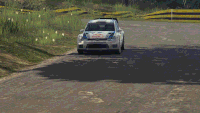 Rally GIFs - Get the best gif on GIFER