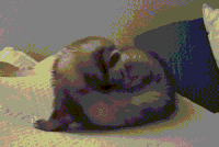 Realization GIFs - Get the best gif on GIFER