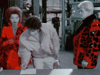 Southern GIFs - Get the best gif on GIFER