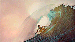 Wsl GIF - Conseguir o melhor gif em GIFER
