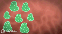 Bacteria GIFs - Get the best gif on GIFER