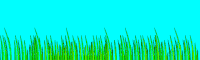 Grass GIFs - Get the best gif on GIFER