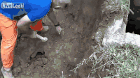 Geologist GIFs - Get the best gif on GIFER