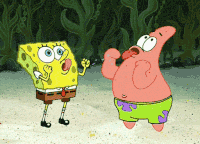 Conch GIFs - Get the best gif on GIFER