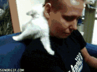 Cuddler GIFs - Get the best gif on GIFER
