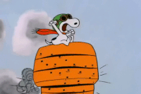 Peanuts GIFs - Get the best gif on GIFER